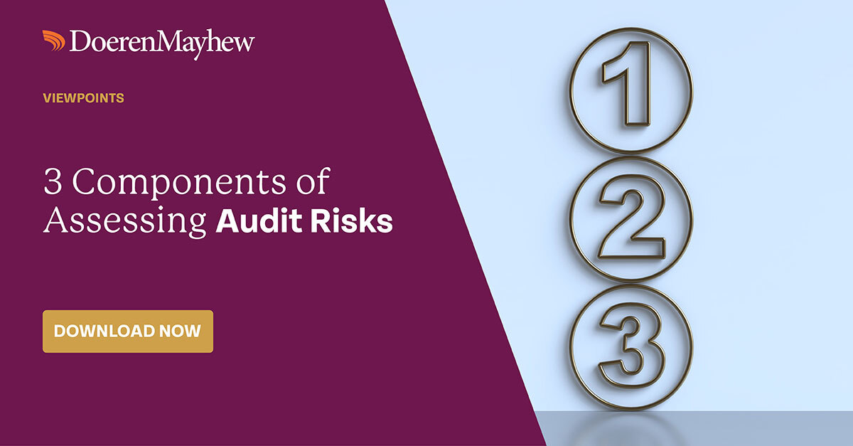 3 Components of Assessing Audit Risks | Doeren Mayhew